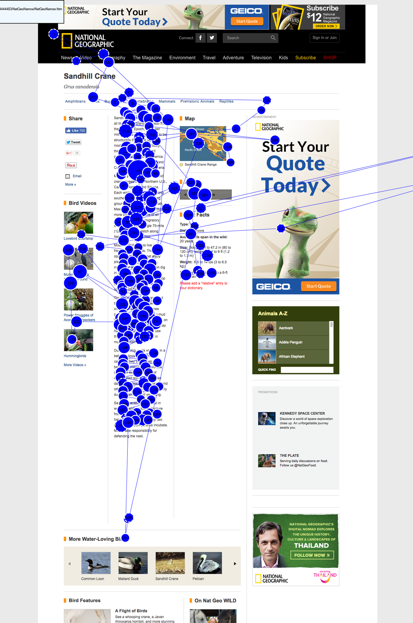 Mengenal Website Scanning Pattern, Meningkatkan Keterbacaan Informasi